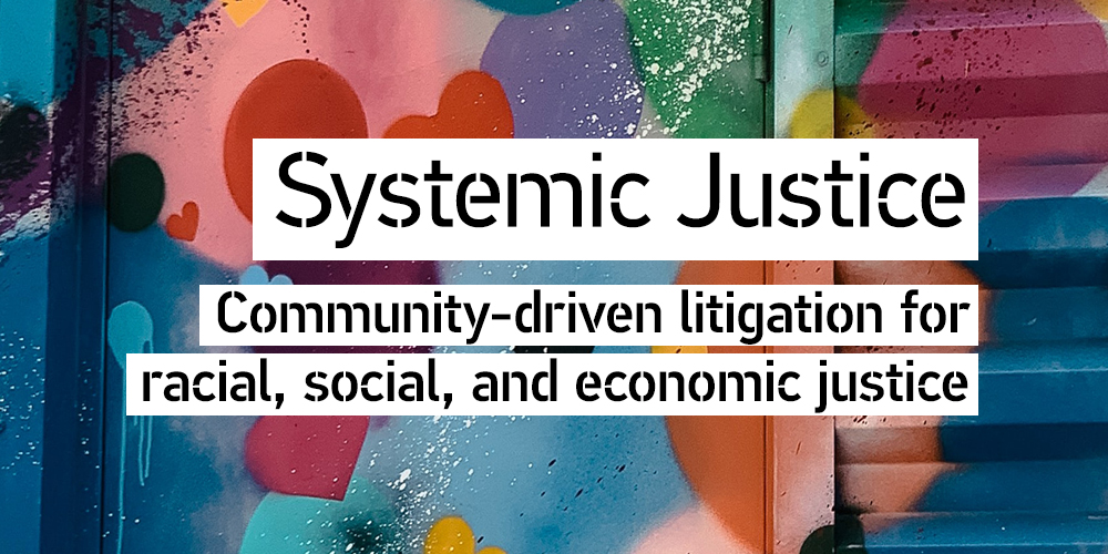 Systemic Justice – Community-driven litigation for racial, social, and ...